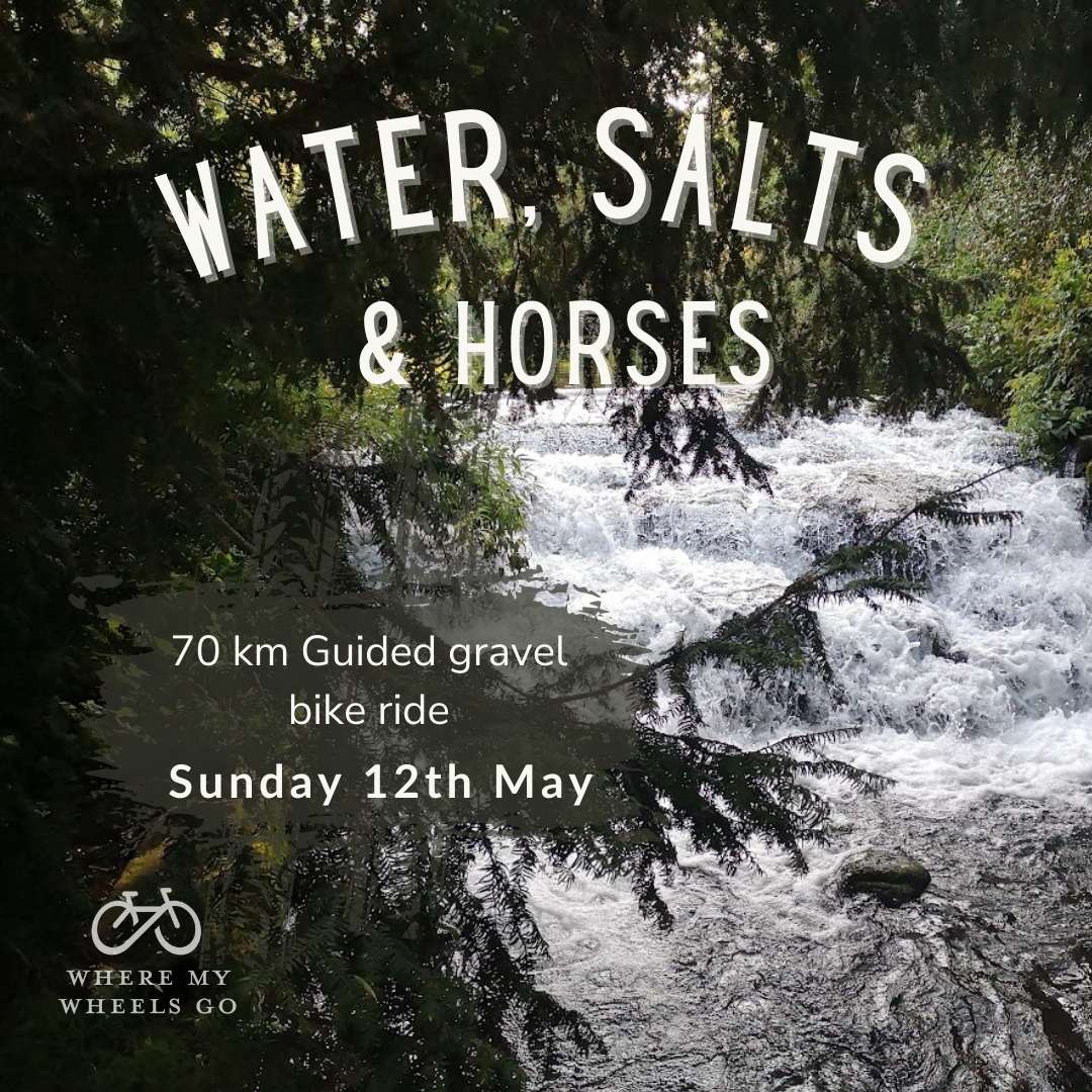 Water, salts and horses, guided gravel bike ride – Hidden Tracks ...